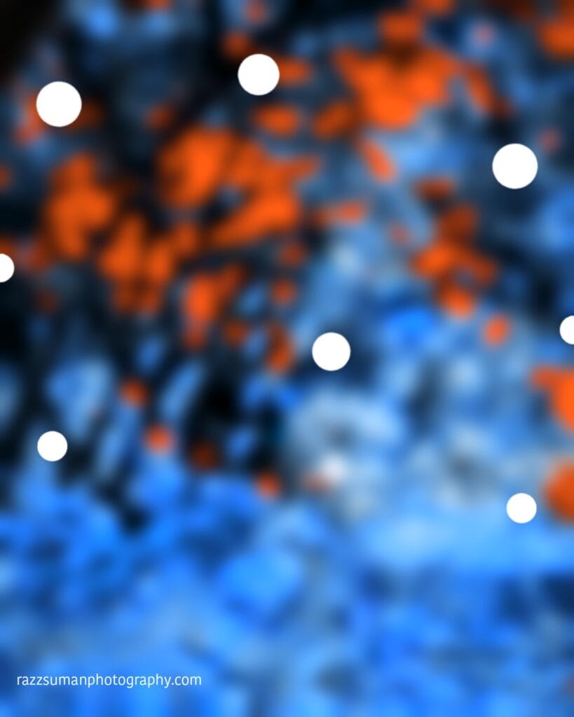 Dslr Cb Background Download