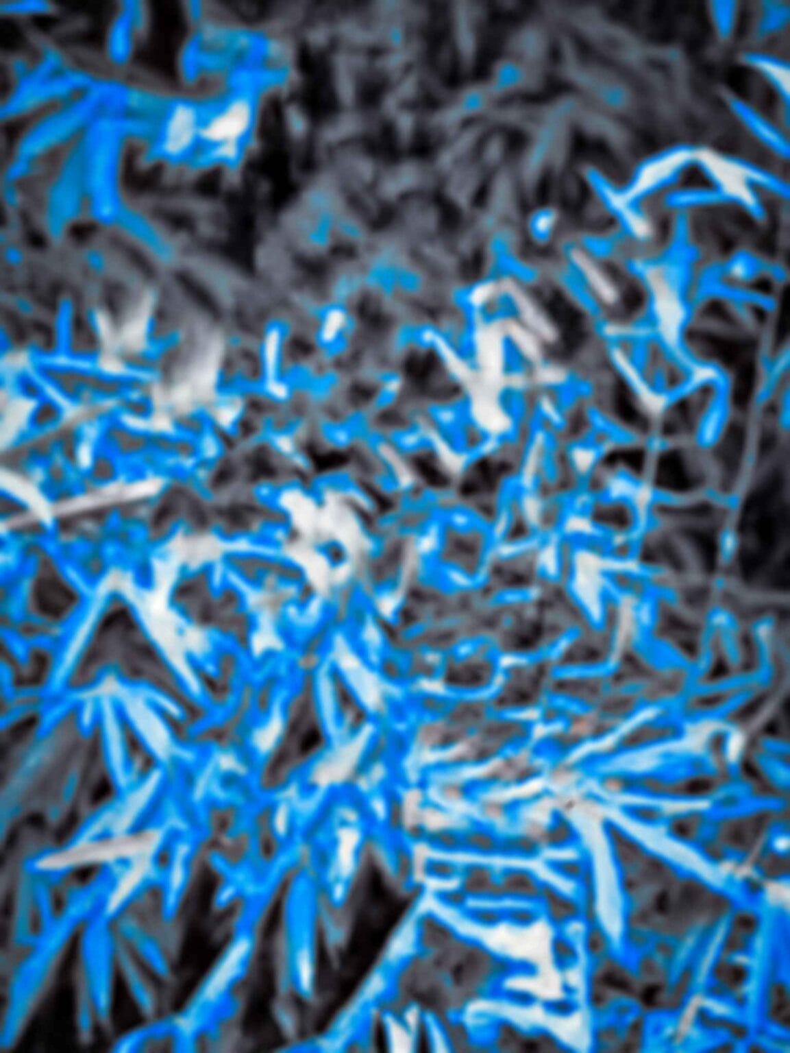 Top 10 Nagpuri Photo Editing Background | Nagpuri Background