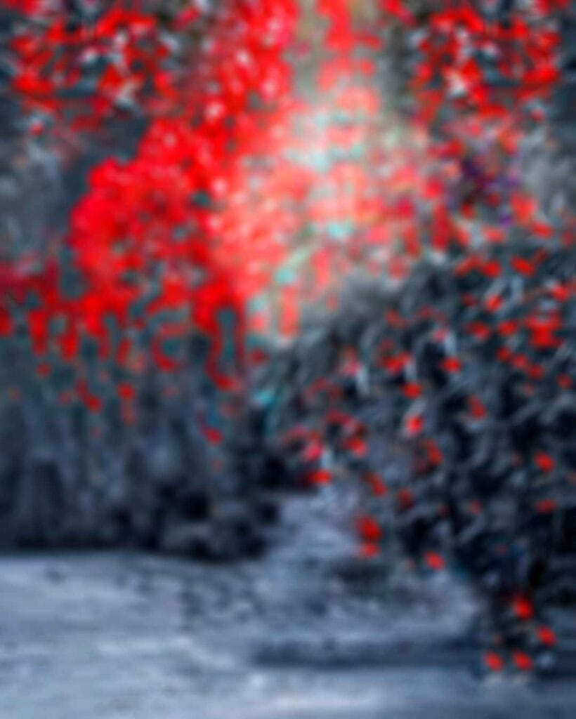 Top 10 Nagpuri Photo Editing Background | Nagpuri Background