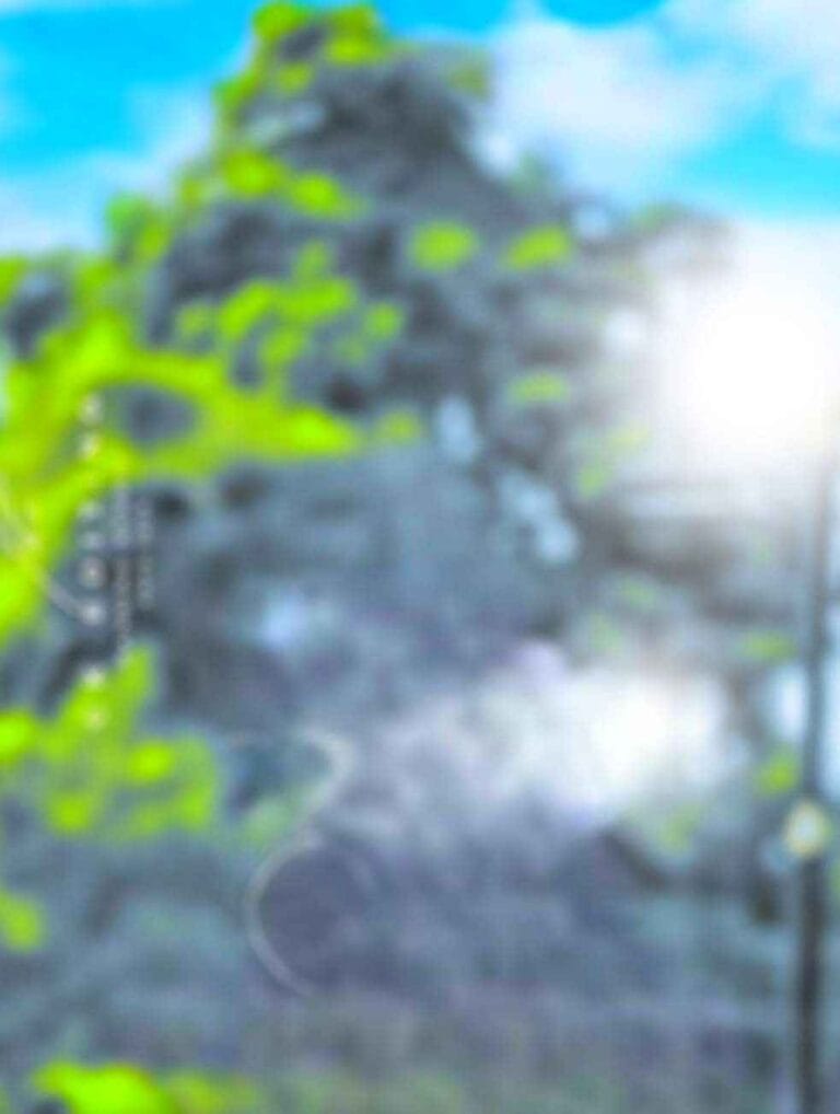 Top 10 Nagpuri Photo Editing Background | Nagpuri Background