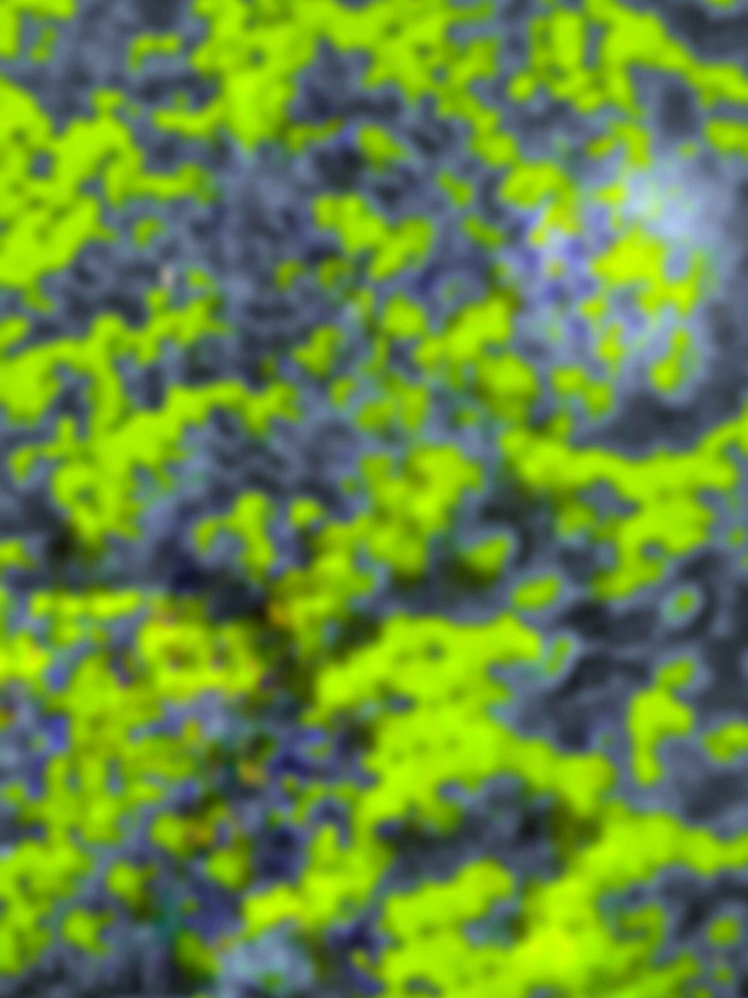 Top 10 Nagpuri Photo Editing Background | Nagpuri Background