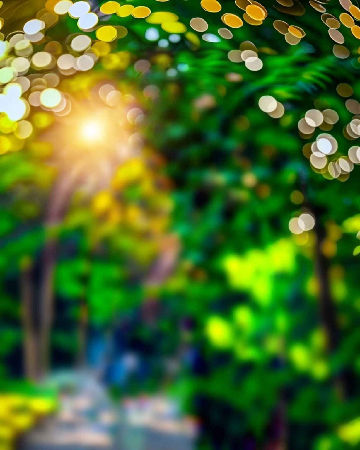 Santali Photo Editing Background | Santali Background Hd