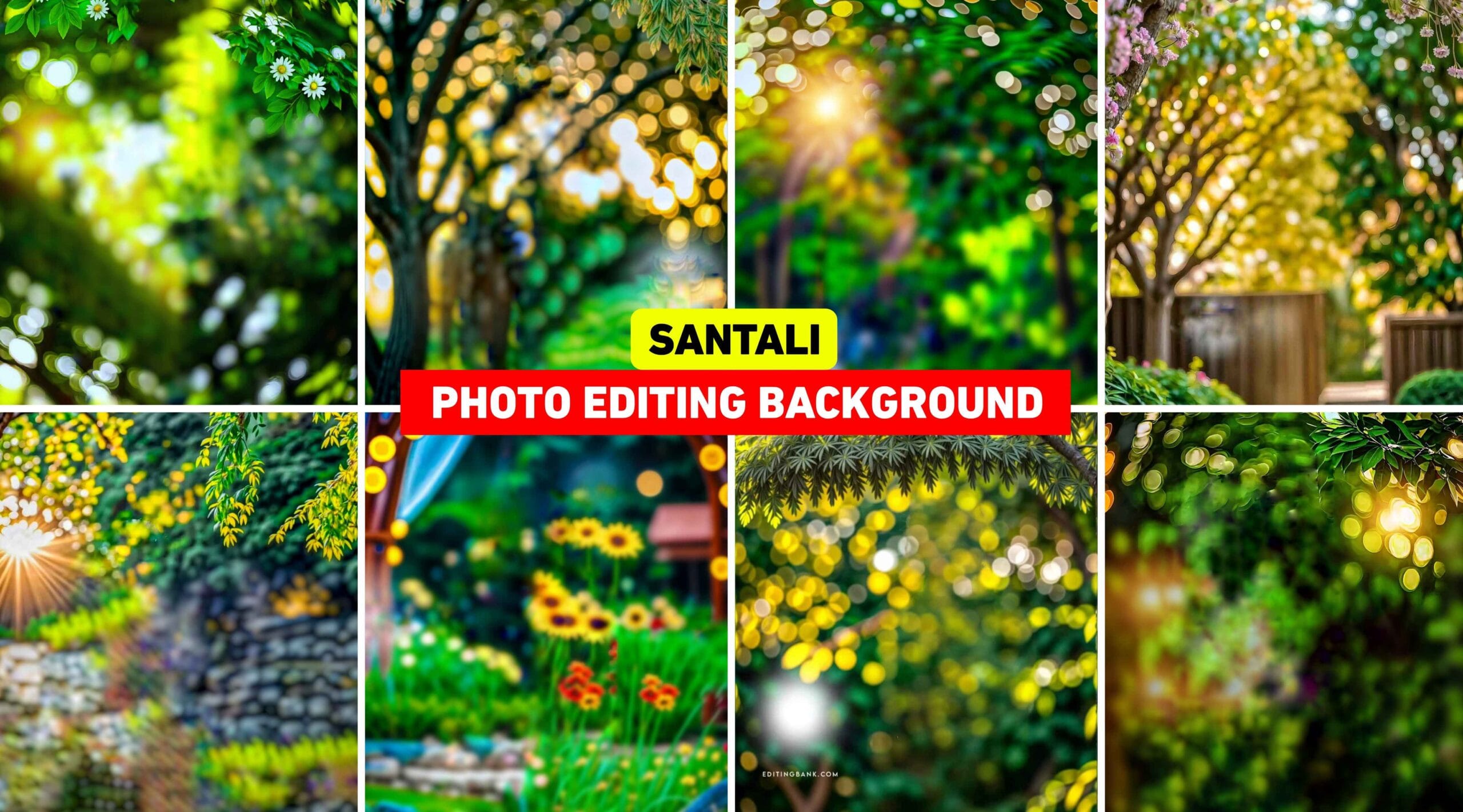 Editing Pack Archives - Razz Suman Photography